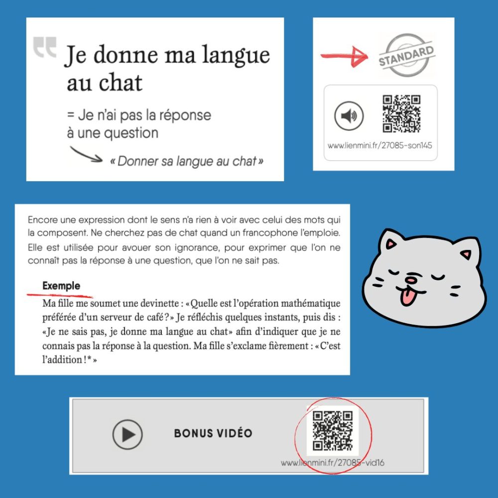 301 expressions pour parler comme les Français - Français Authentique